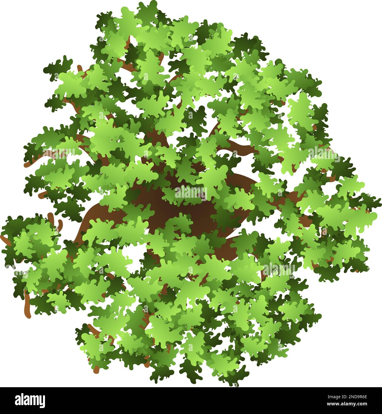 Tree from above. Landscape map top view element Stock Vector Image ...