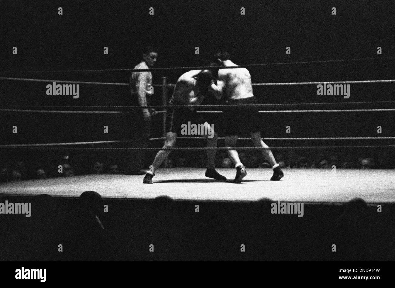 Mushy Callahan, Vincent Morris Scheer and Jack Kid Berg, Judah Bergman ...