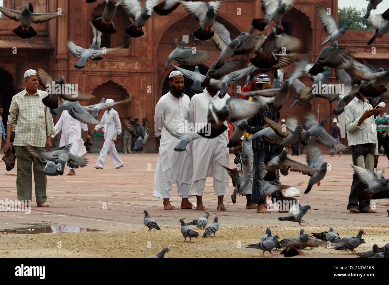 Indian Muslims watch pigeons in the courtyard after offering prayers on ...