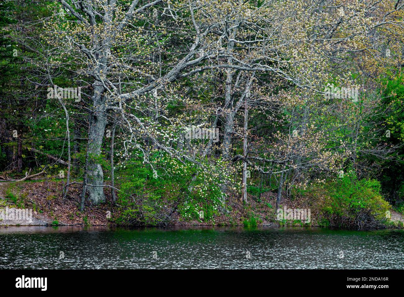 Human made Hidden Lake is a popular recreation site in Delaware Water ...