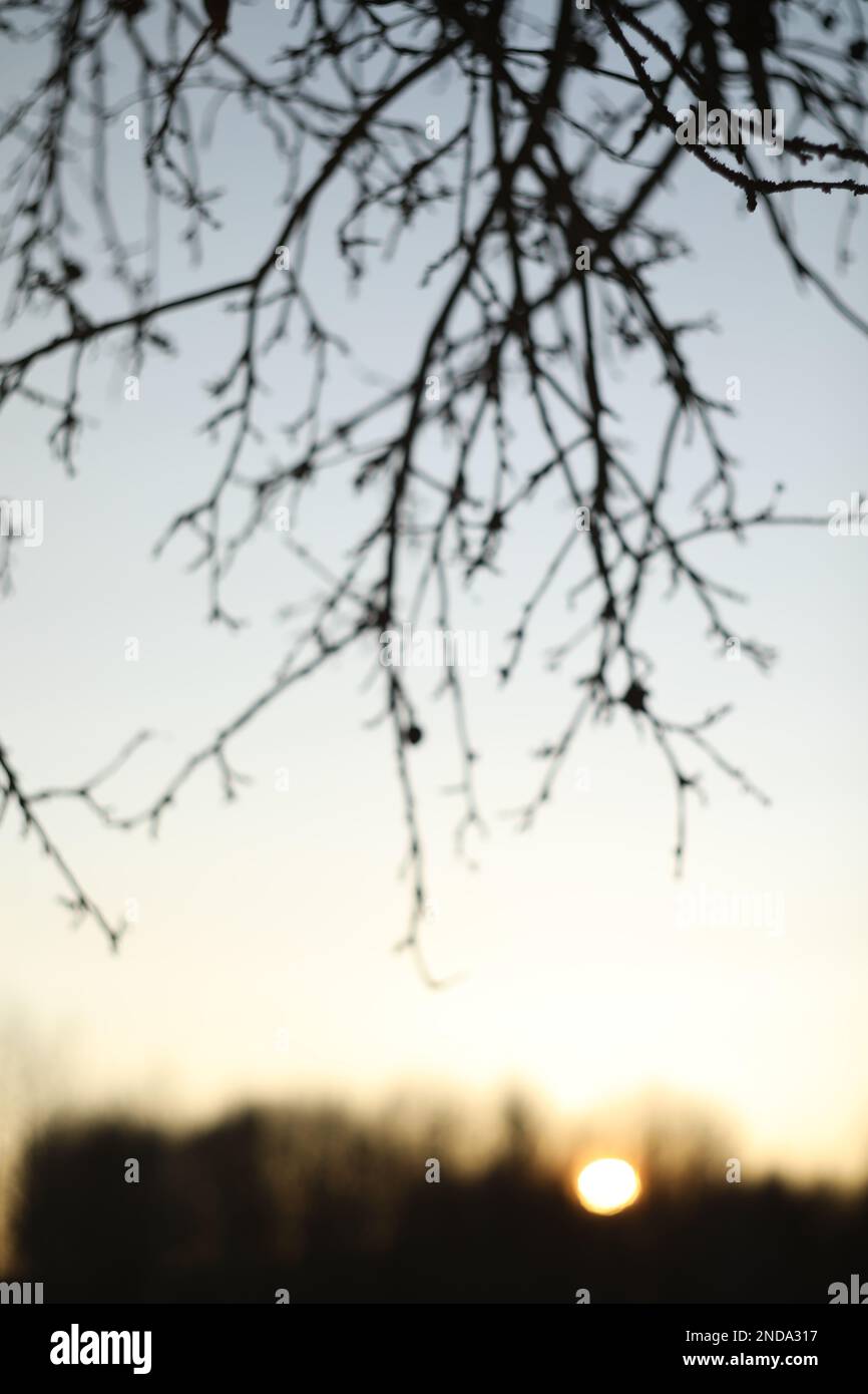 Abstract blur sunset texture background. Real amazing panoramic sunrise ...