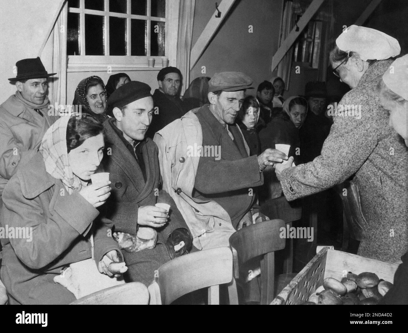 Hungarian refugees receive coffee and rolls after arrival at Friedland ...