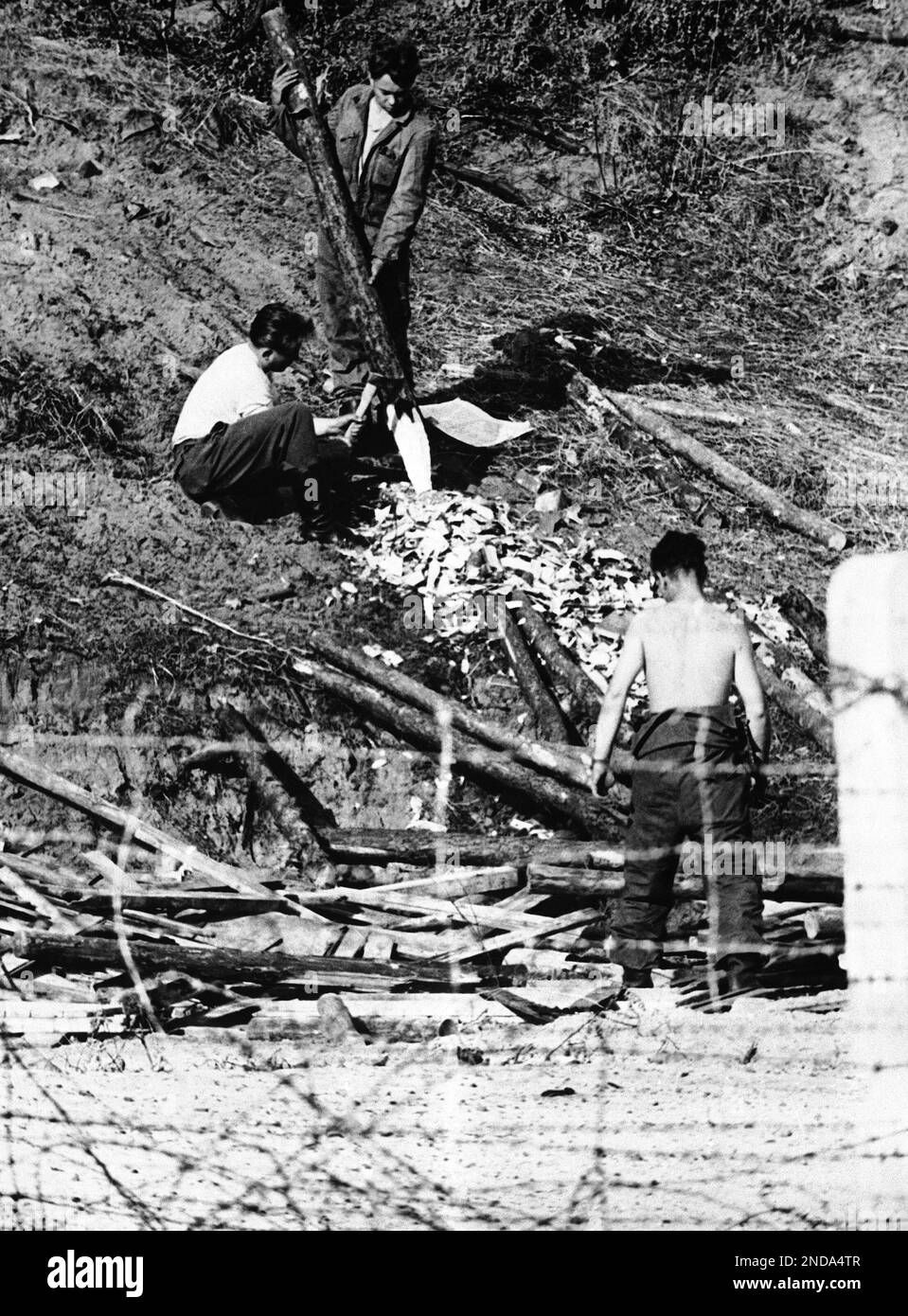 East German soldiers sharpen wooden stakes as they rush work to ...