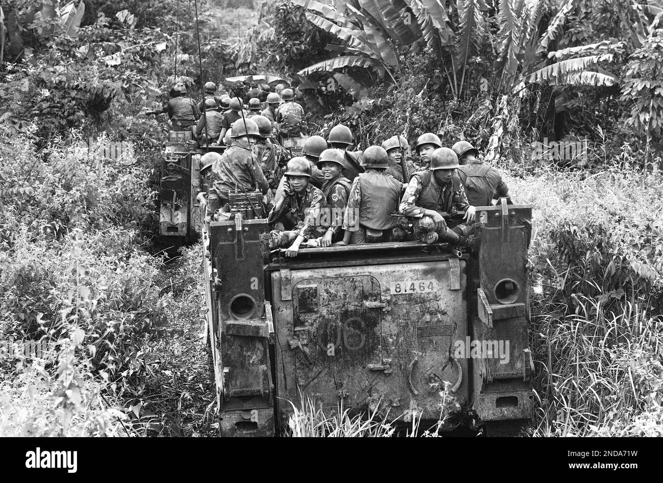 South Vietnamese troops on armored personnel carriers move through dense underbrush on a sweep ...