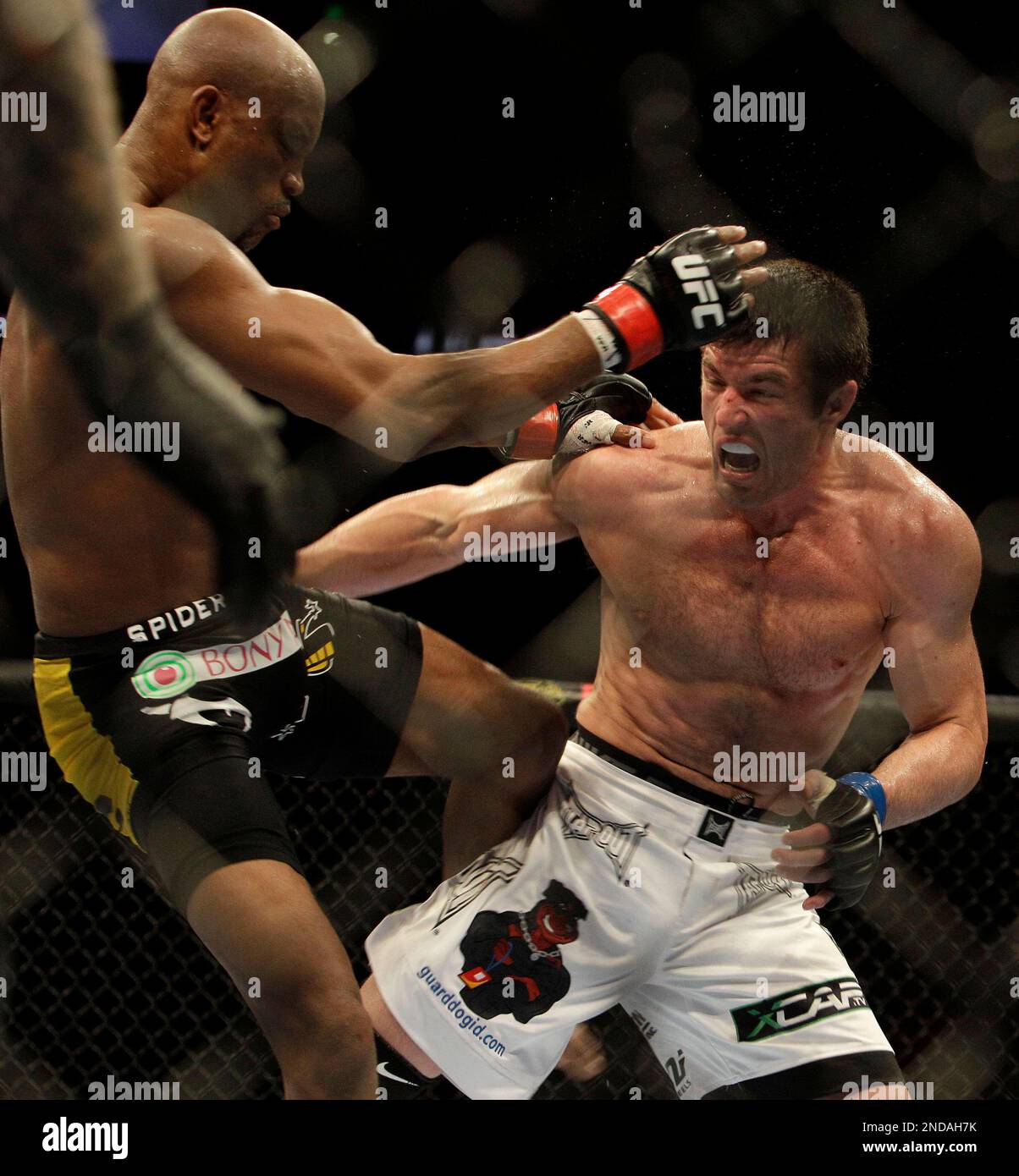 Anderson Silva Kick