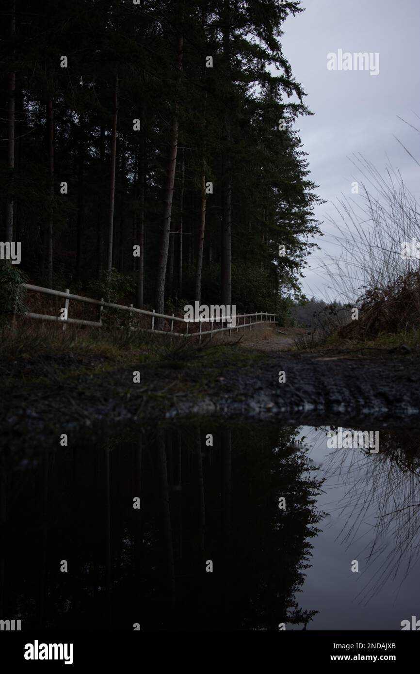 Wetland path hi-res stock photography and images - Alamy