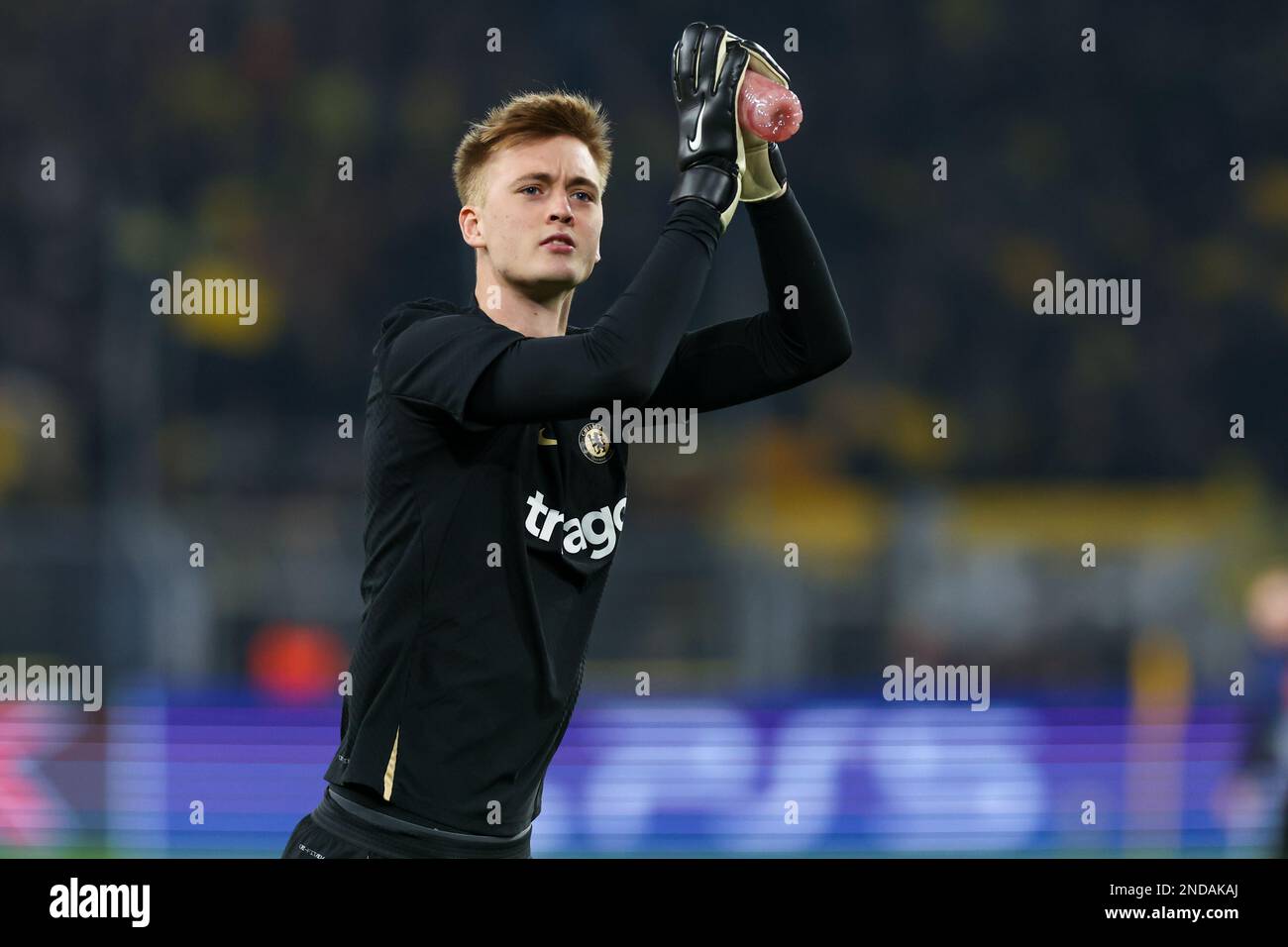 DORTMUND, GERMANY - FEBRUARY 15: goalkeeper Lucas Bergstrom during the ...