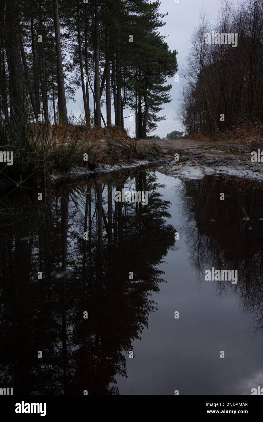 Wet foot hi-res stock photography and images - Alamy