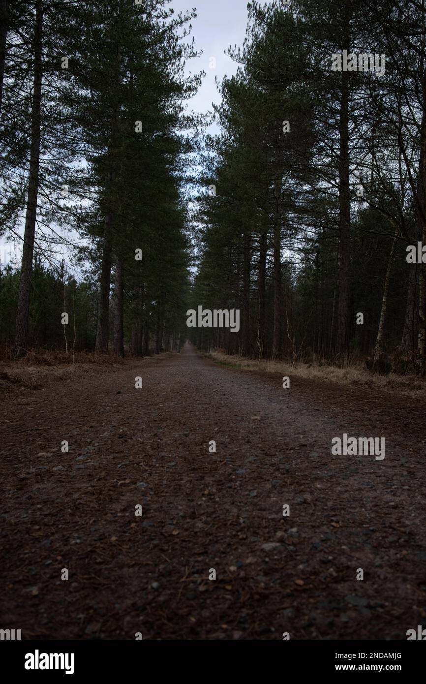 Long rural path hi-res stock photography and images - Alamy