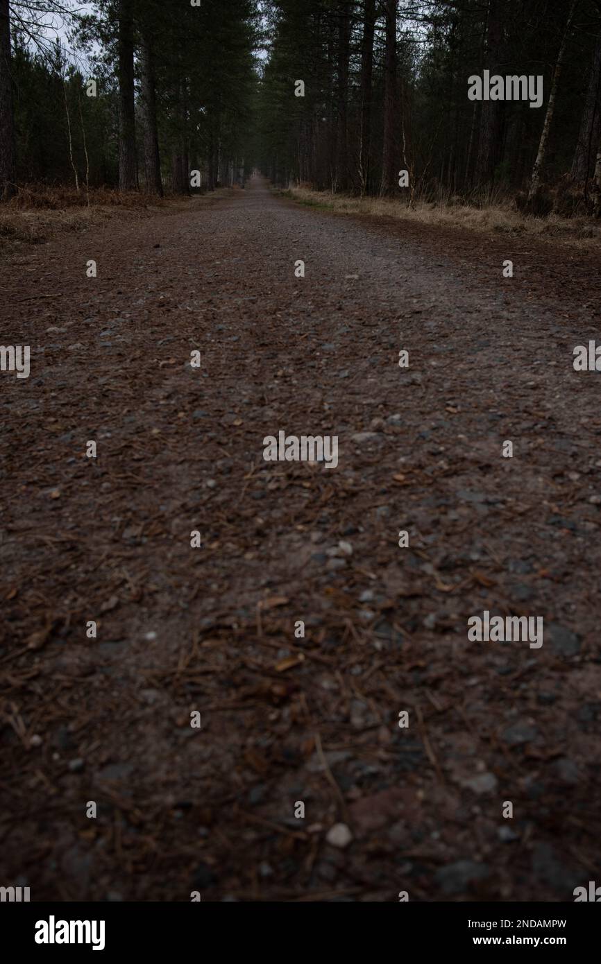 Rural path perspective hi-res stock photography and images - Alamy