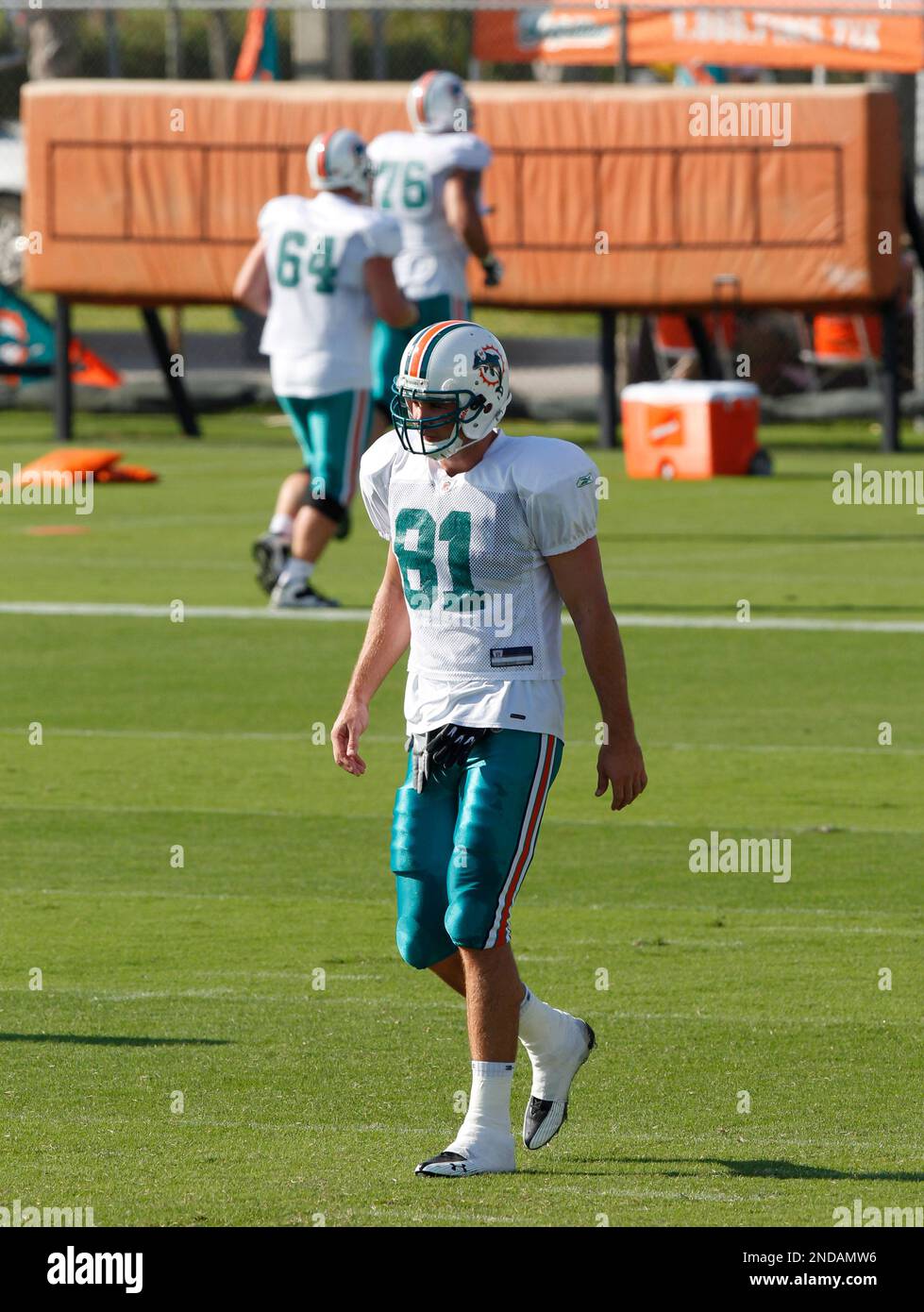 Miami Dolphins tight end Joey Haynos is shown during NFL football ...