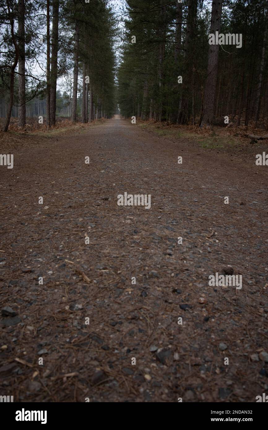 Foot path view hi-res stock photography and images - Alamy