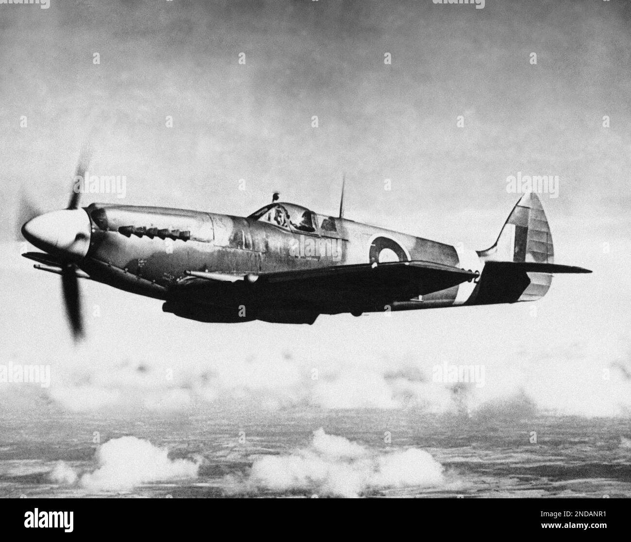 The latest spitfire, the Mark XII, appears in flight during maneouvers ...