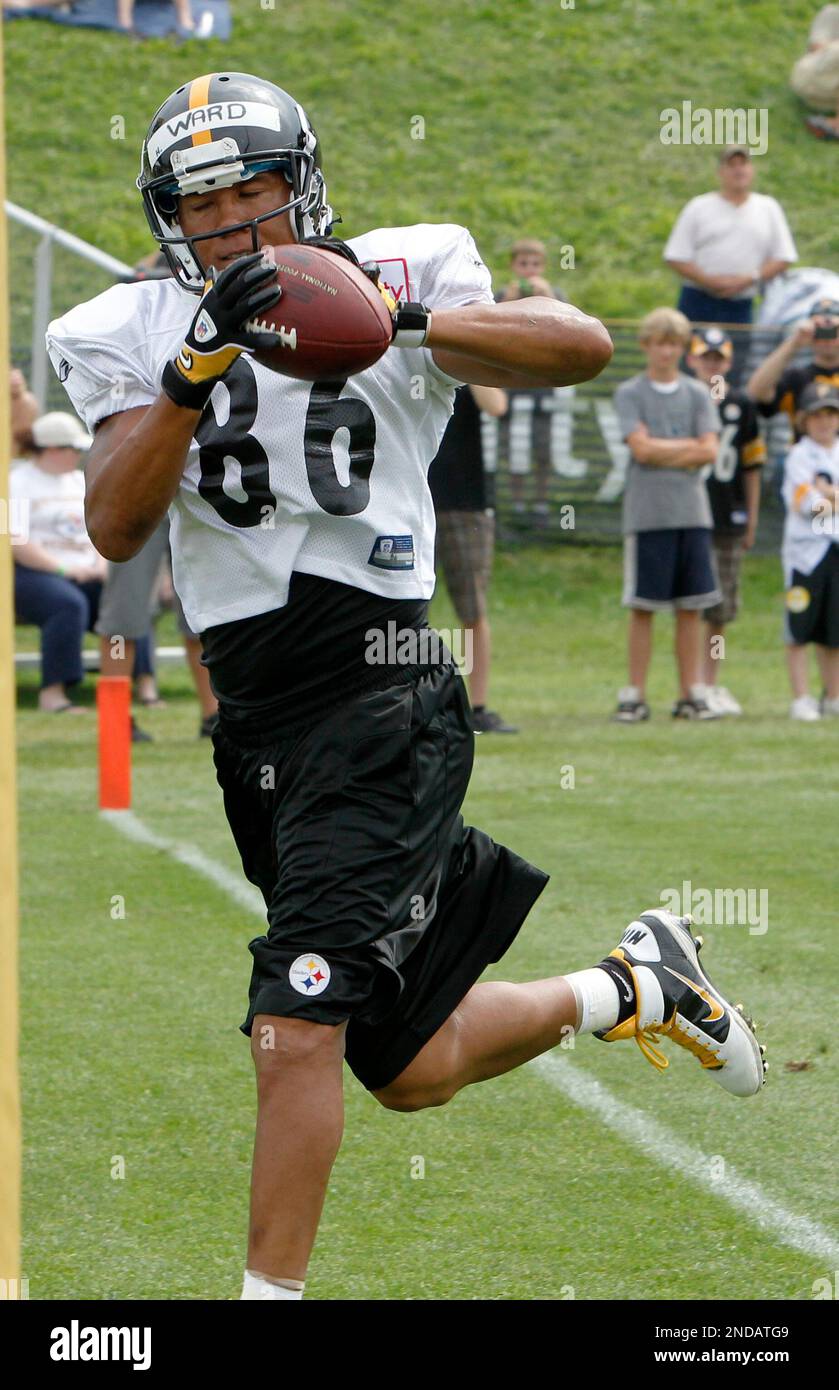 Hines Ward Steelers Catch
