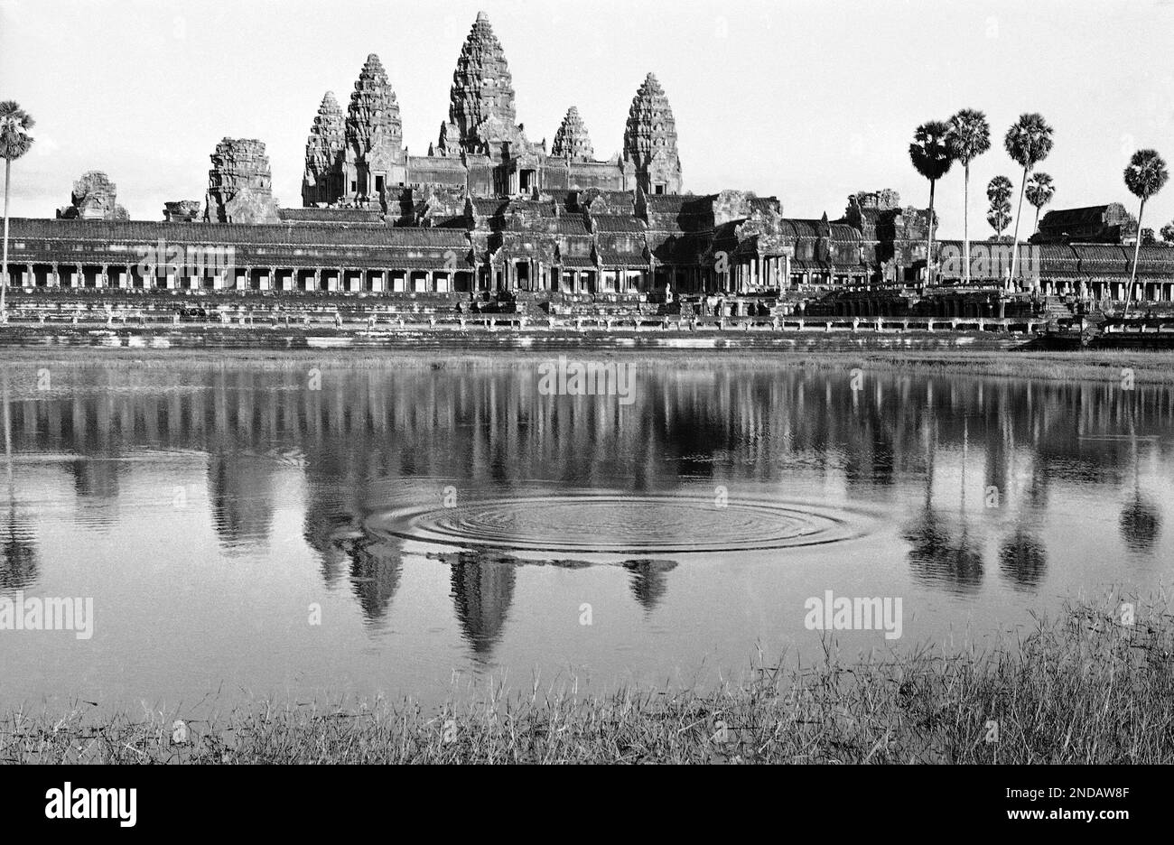 Rippling waters distort the image of the Angkor Wat temple, largest and ...