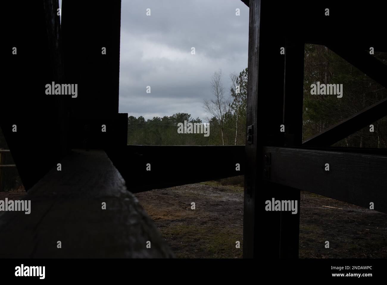 Woodland structure hi-res stock photography and images - Alamy