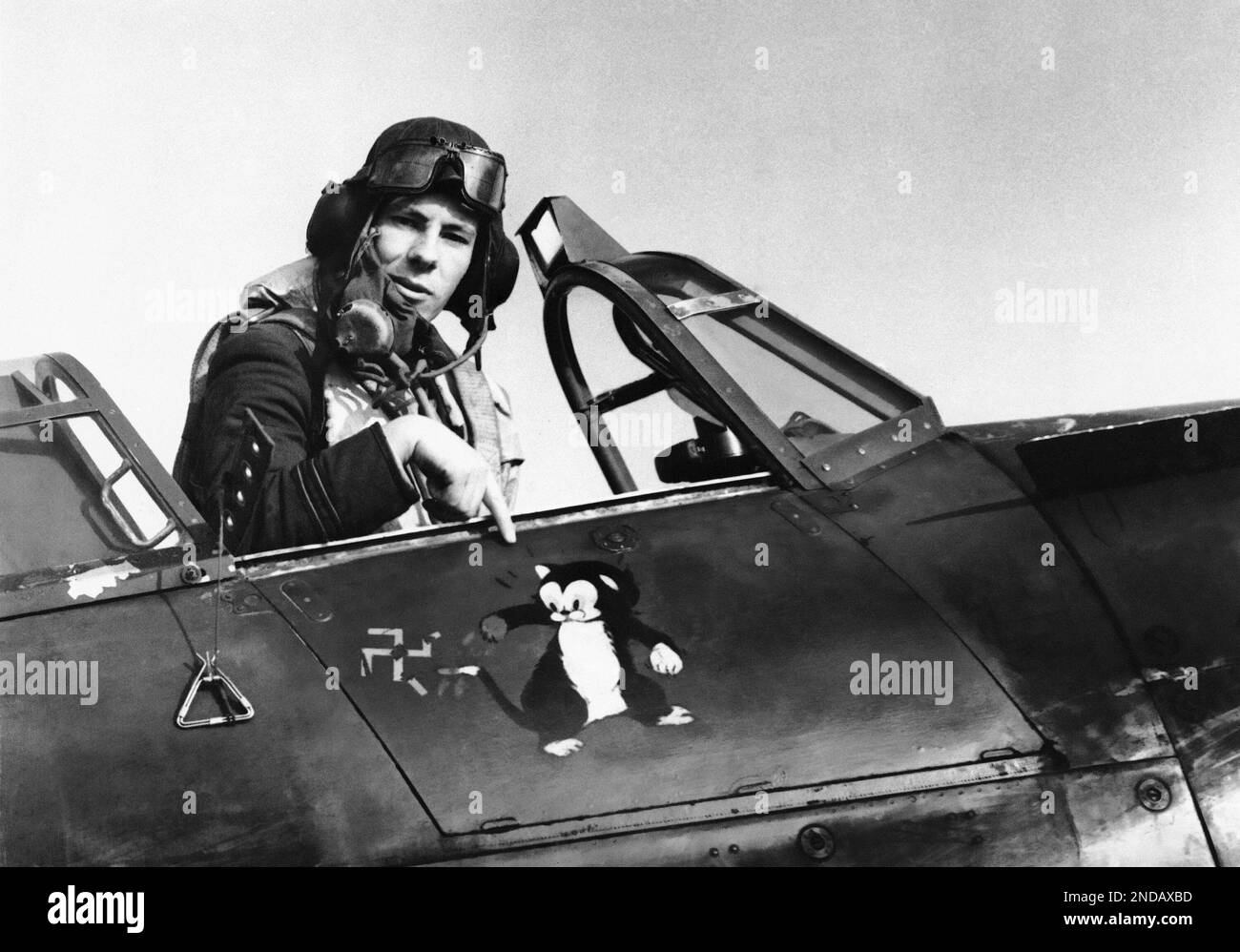 A Flight Lieutenant in the cockpit of his fighter with his mascot on ...