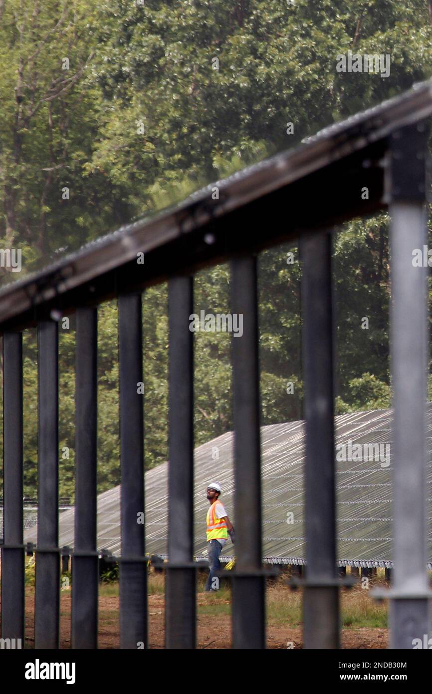 This July 30, 2010, photo shows a worker walking through a field of ...