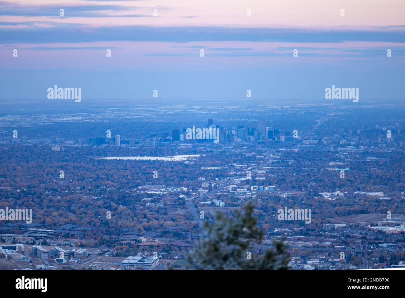 Areial view of trees hi-res stock photography and images - Alamy