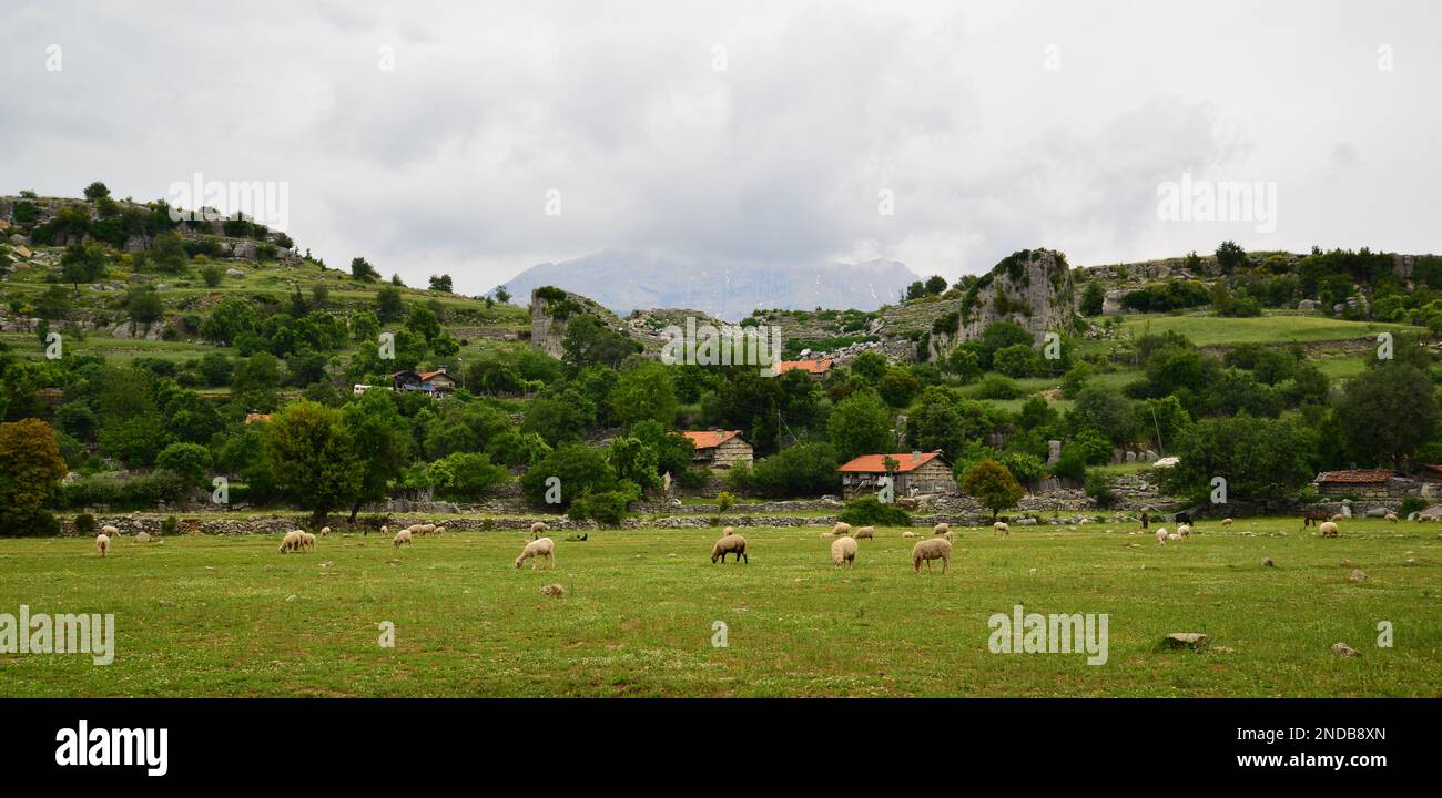 Selge Ancient City - Antalya - TURKEY Stock Photo - Alamy