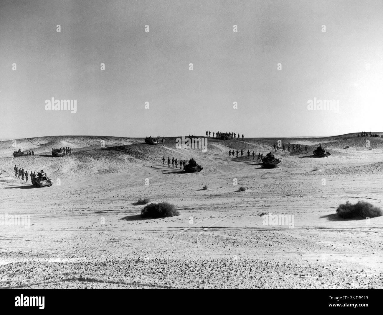 Australian tank and infantry troops engage in large scale tactical ...