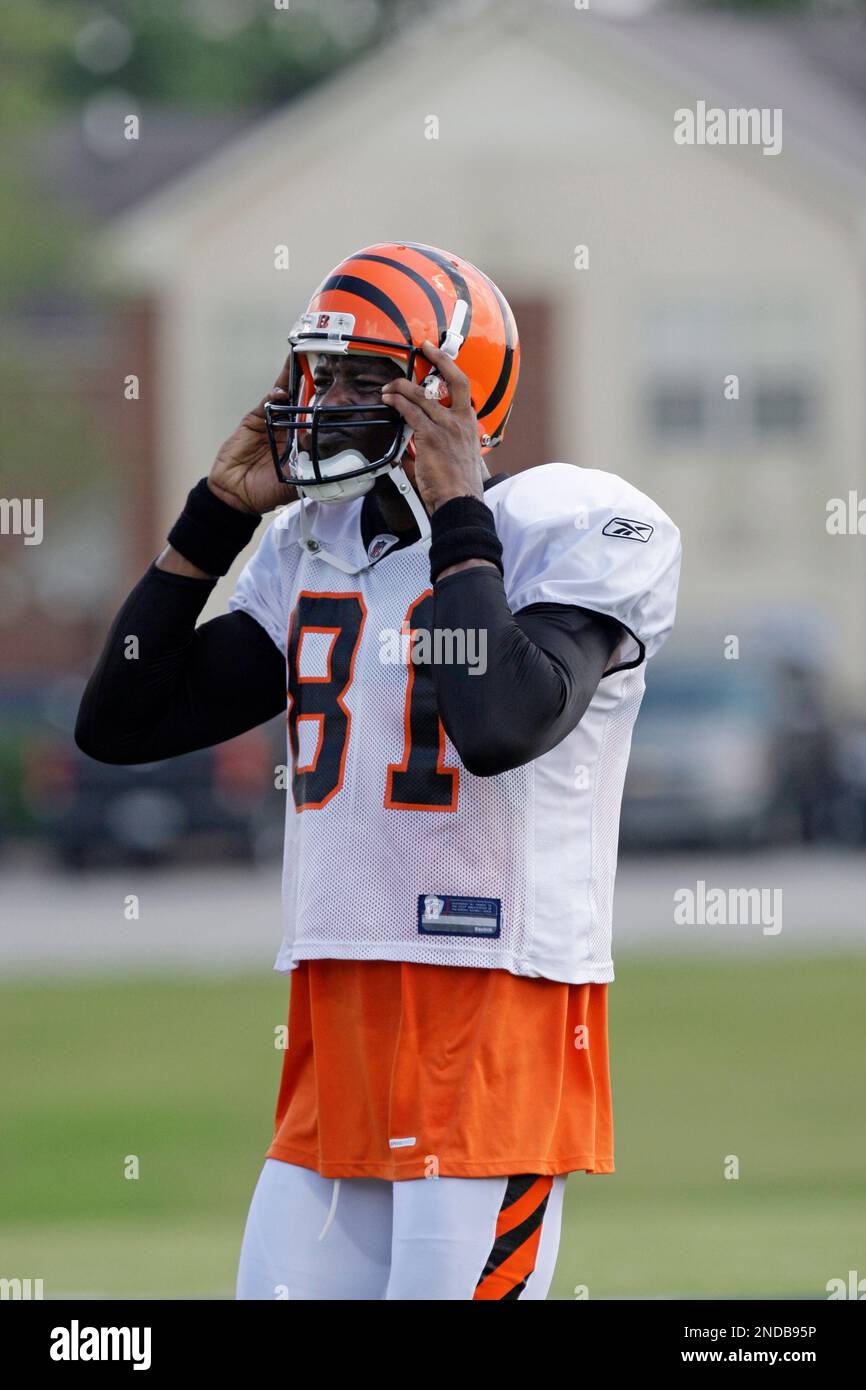 Cincinnati Bengals wide receiver Terrell Owens (81) in action during ...