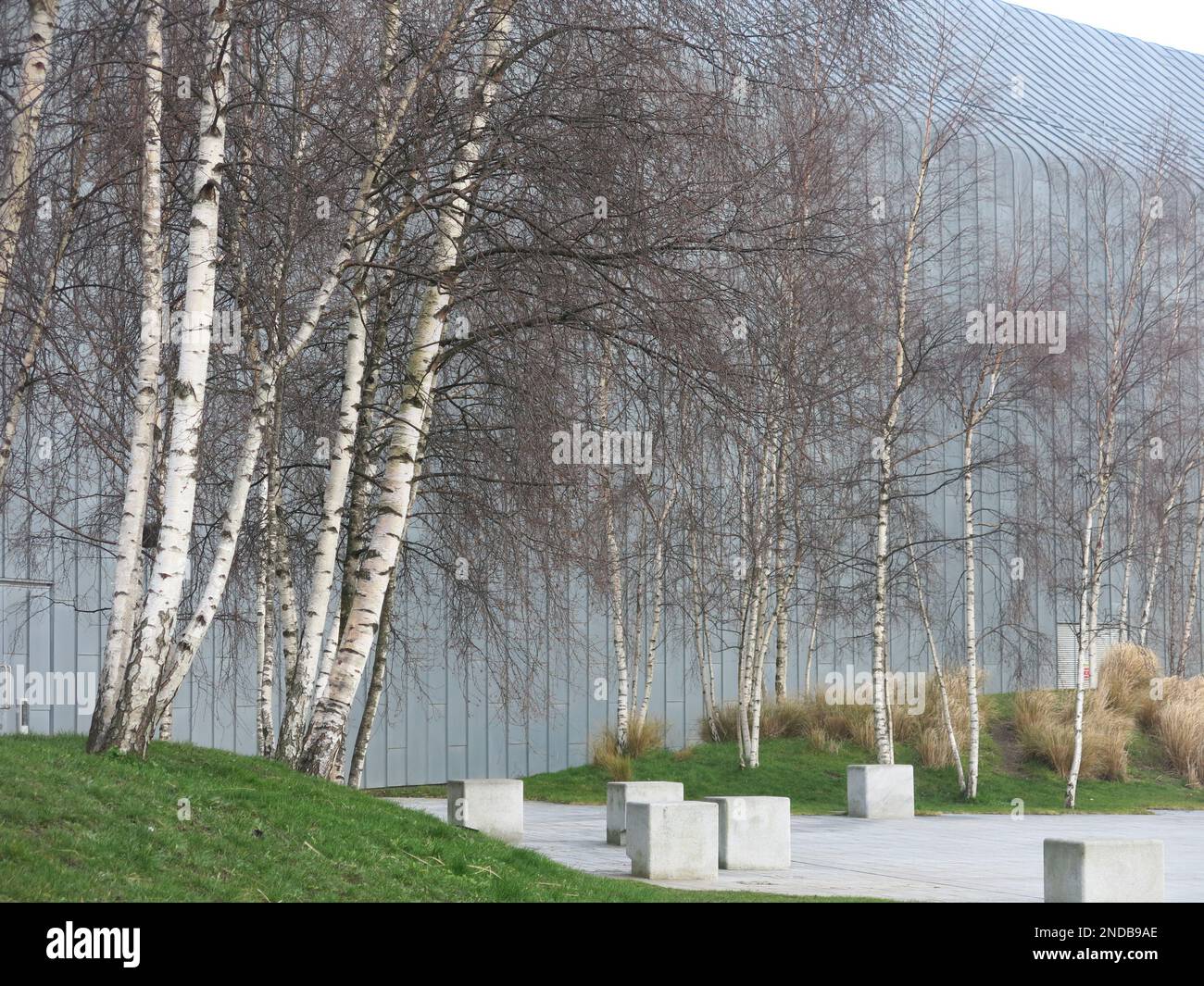 A planting scheme of tall trees and grasses softens the hard lines of ...