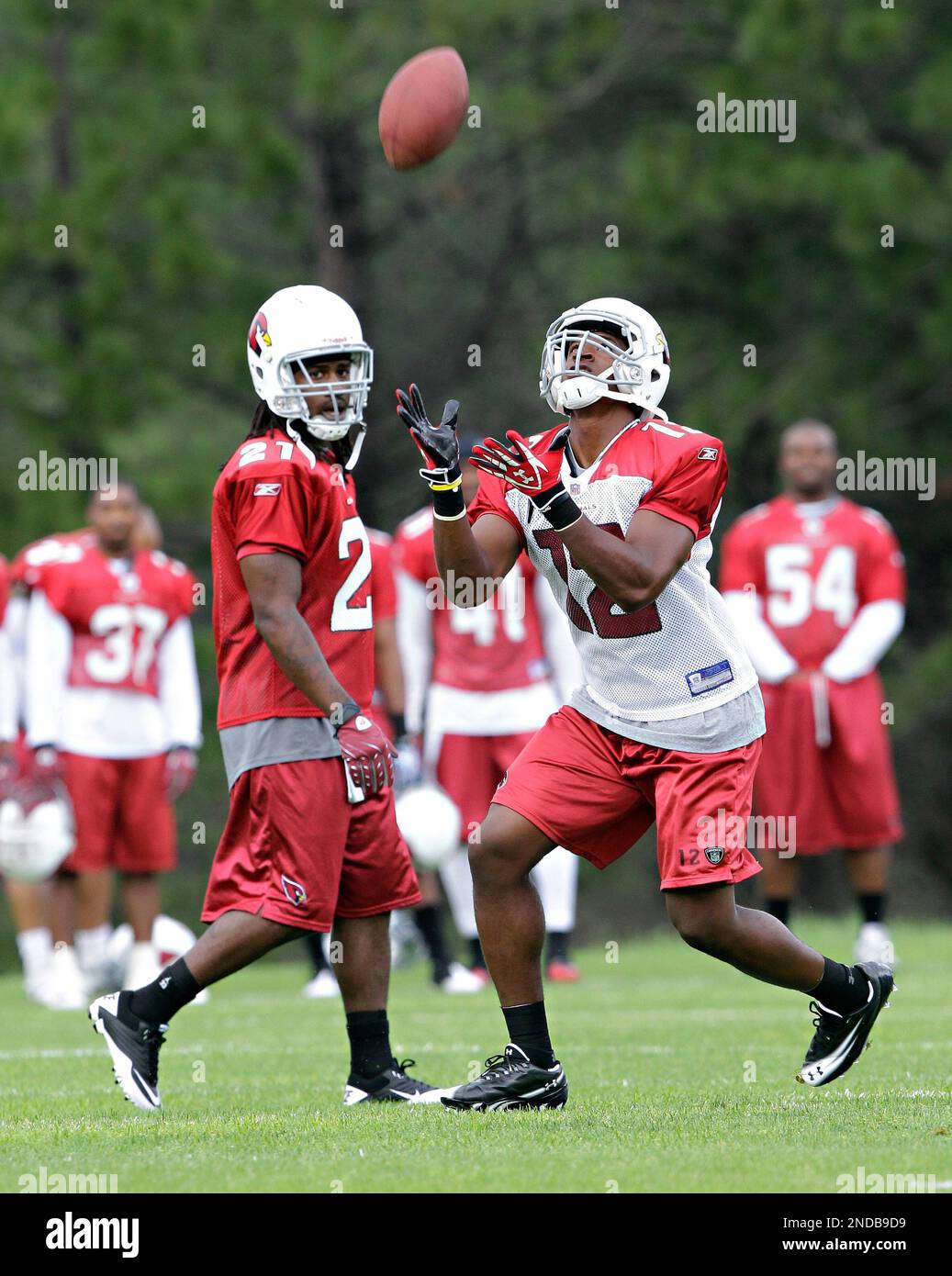 The Arizona Cardinals' Jorrick Calvin (21) and Andre Roberts (12) catch ...