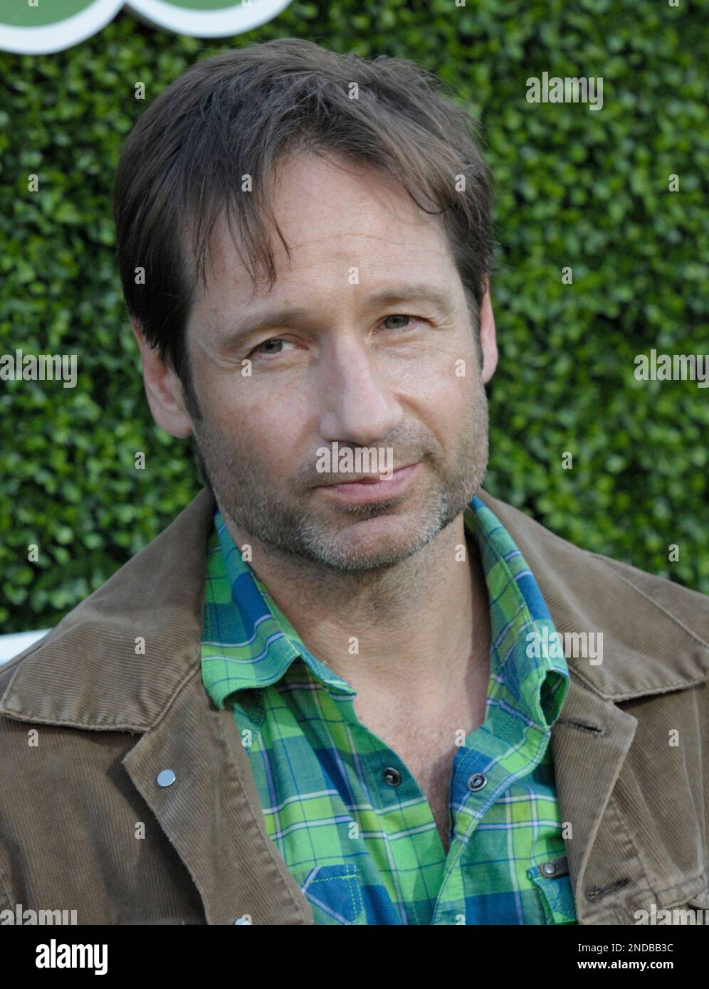 Actor David Duchovny arrives at the CBS CW Showtime press tour party in ...