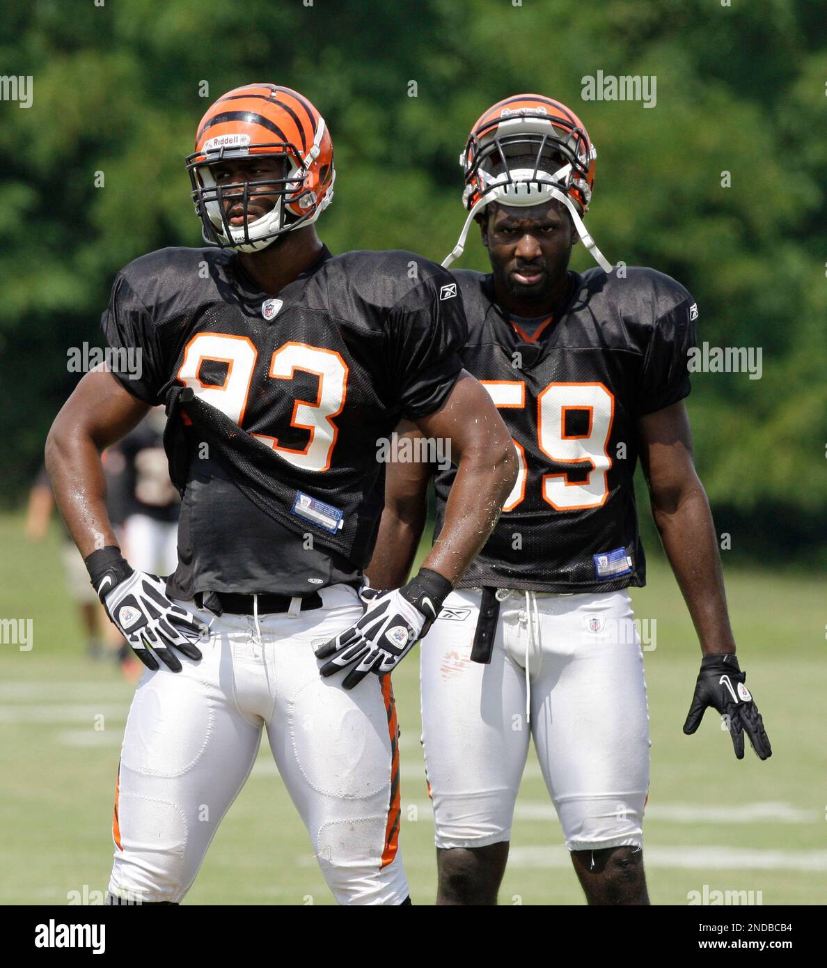 Michael Johnson Bengals