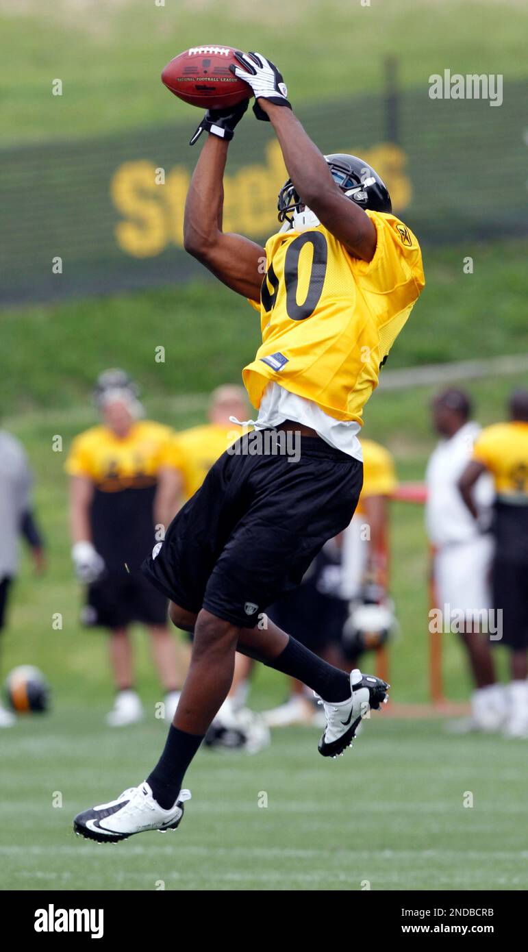 Pittsburgh Steelers defensive back David Pittman at the NFL football ...