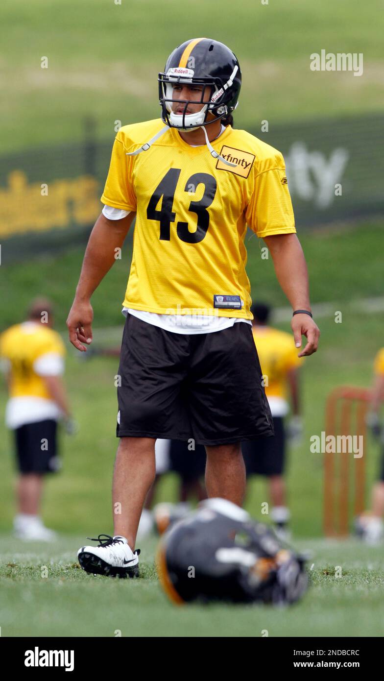 Pittsburgh Steelers safety Troy Polamalu (43) at the NFL football team ...
