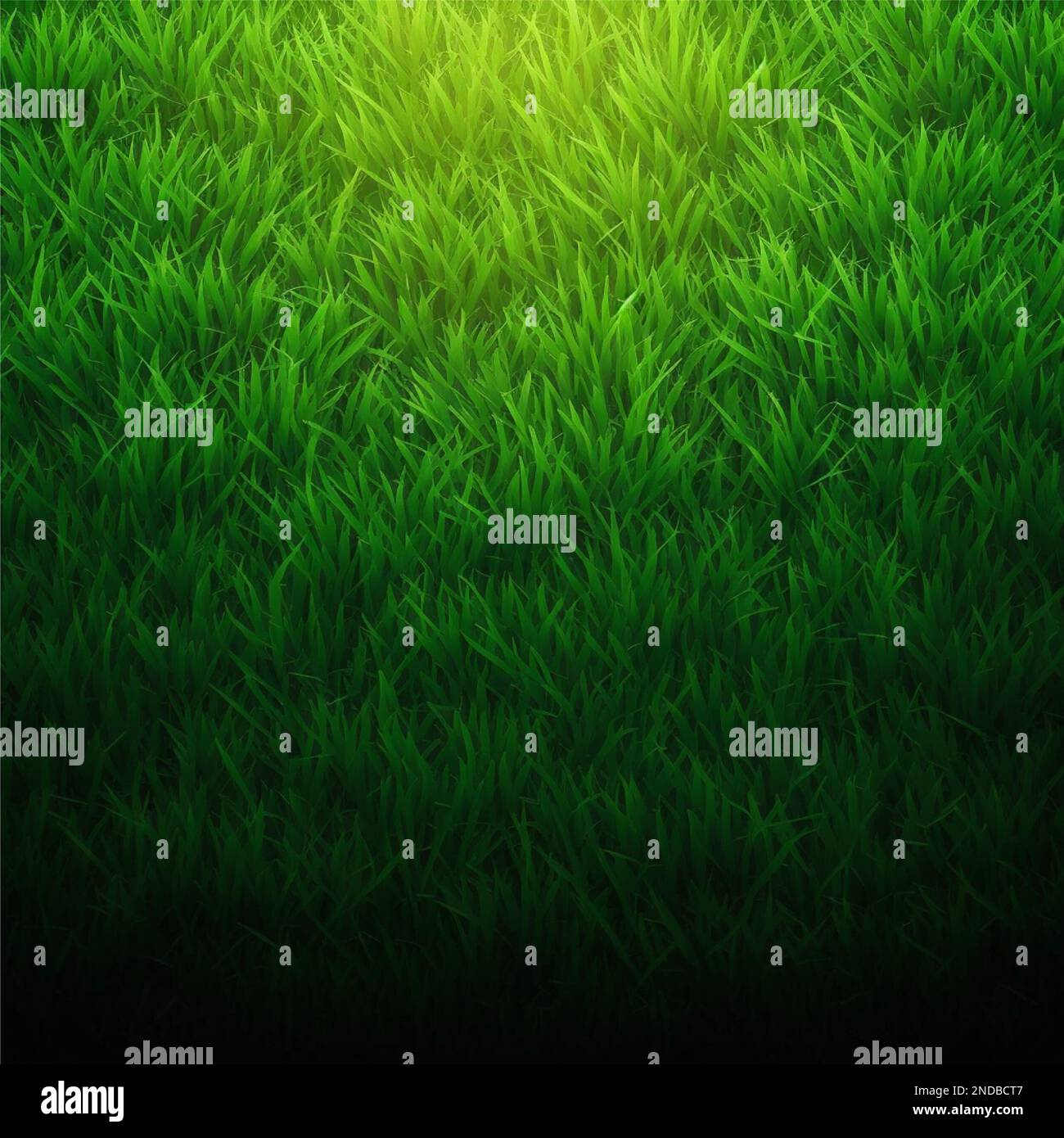 Green grass seamless texture. Seamless in only horizontal dimension. ps ...