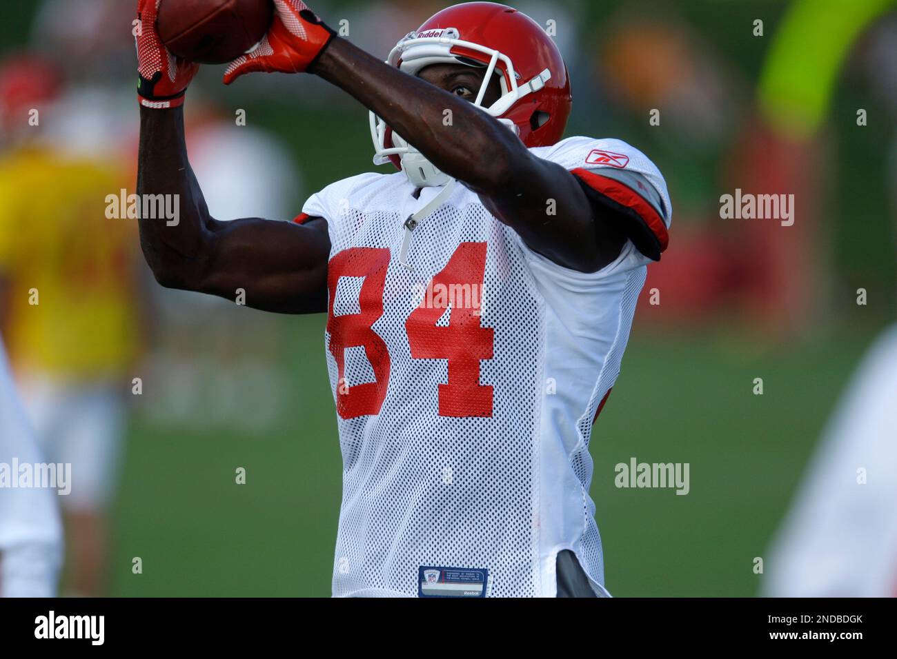 Kansas City Chiefs wide receiver Chris Chambers (84) during football ...