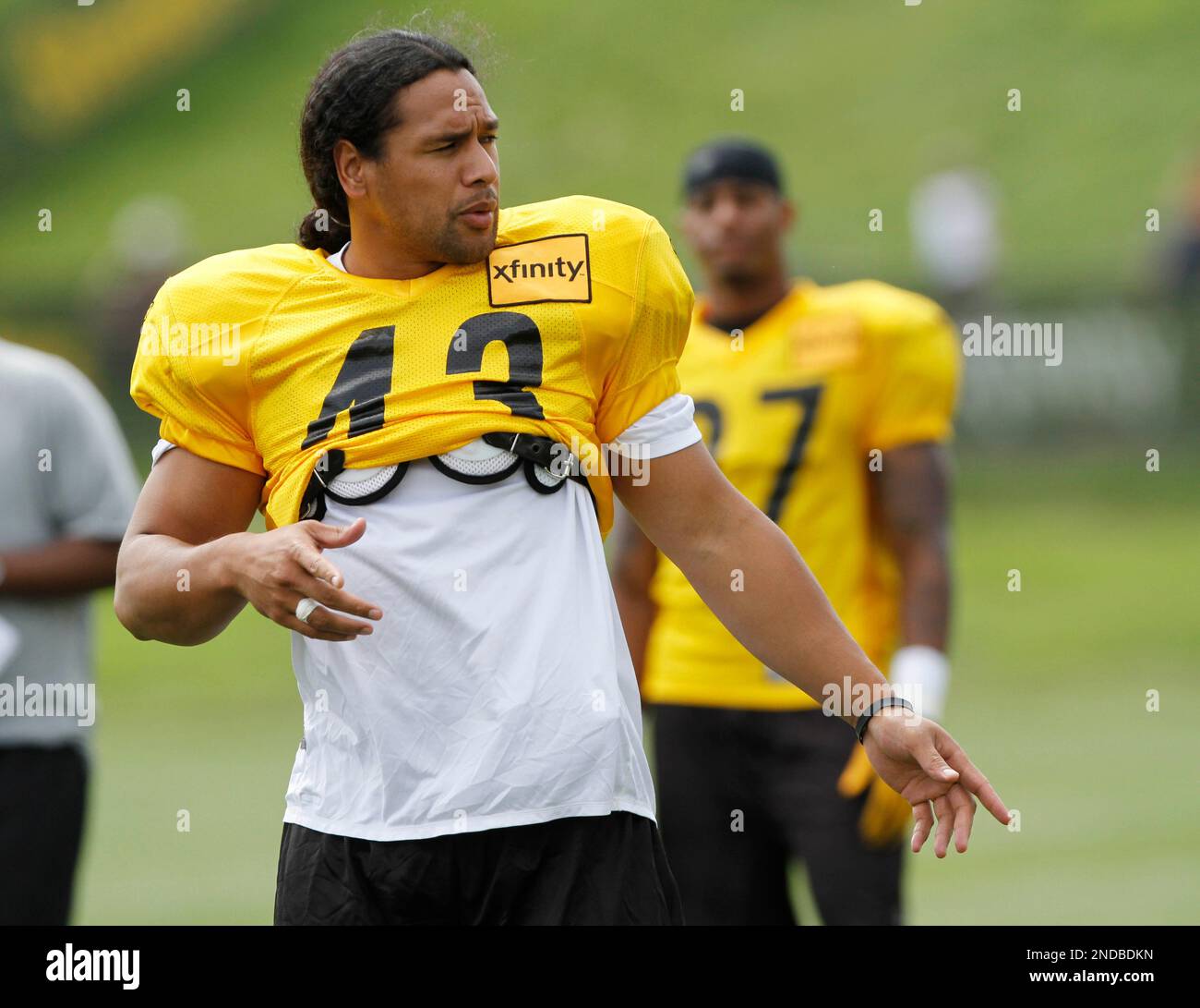 Pittsburgh Steelers safety Troy Polamalu (43) at the NFL football team ...