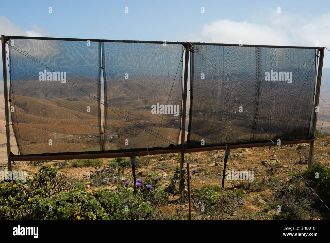 Traps mists to capture water at the Mirador de Velosa in Fuerteventura ...