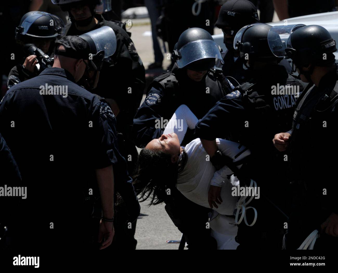 Los Angeles Police arrest one of 12 protestors who chained themselves ...