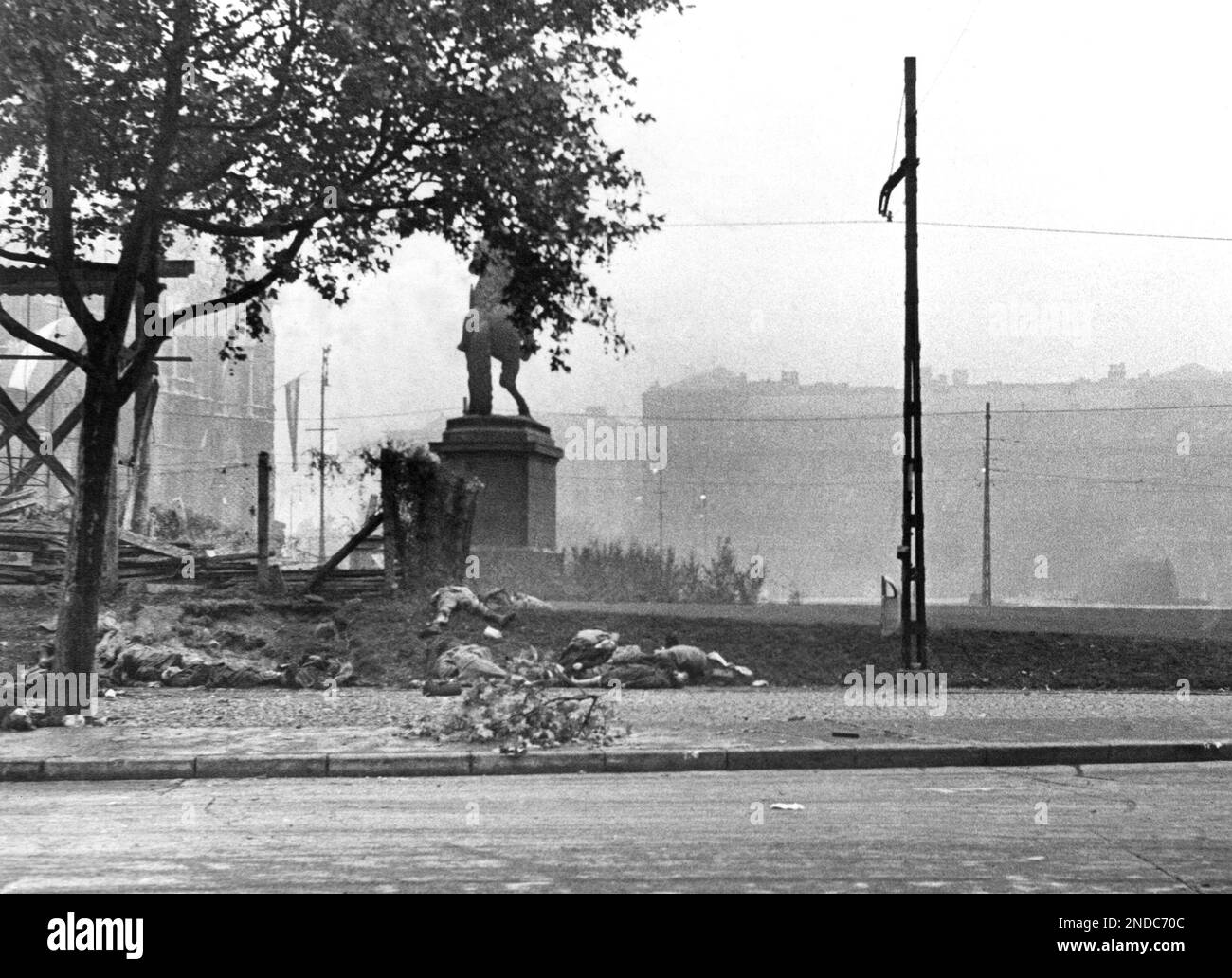 Bodies are seen lying prone behind the Rakoczy statue in Budapest Oct ...