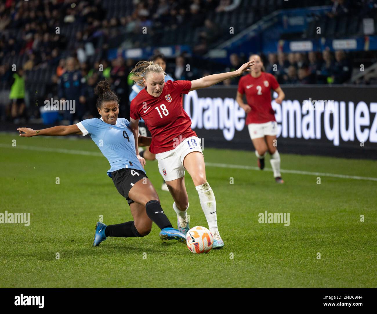 Carina felipe hi-res stock photography and images - Alamy