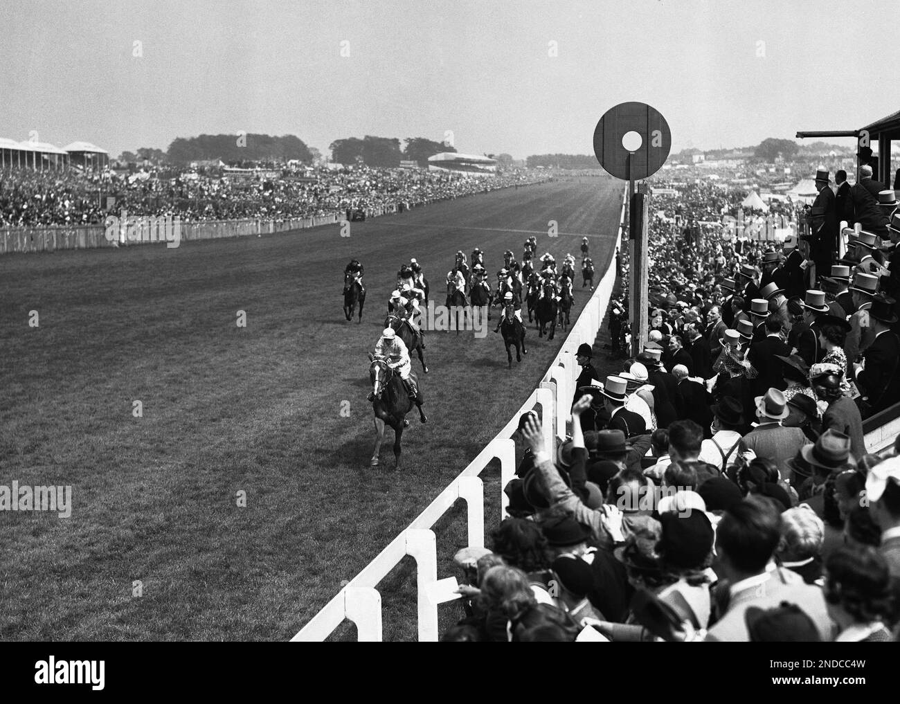 Blue Peter well ahead of the field at the finish of the Derby horse ...