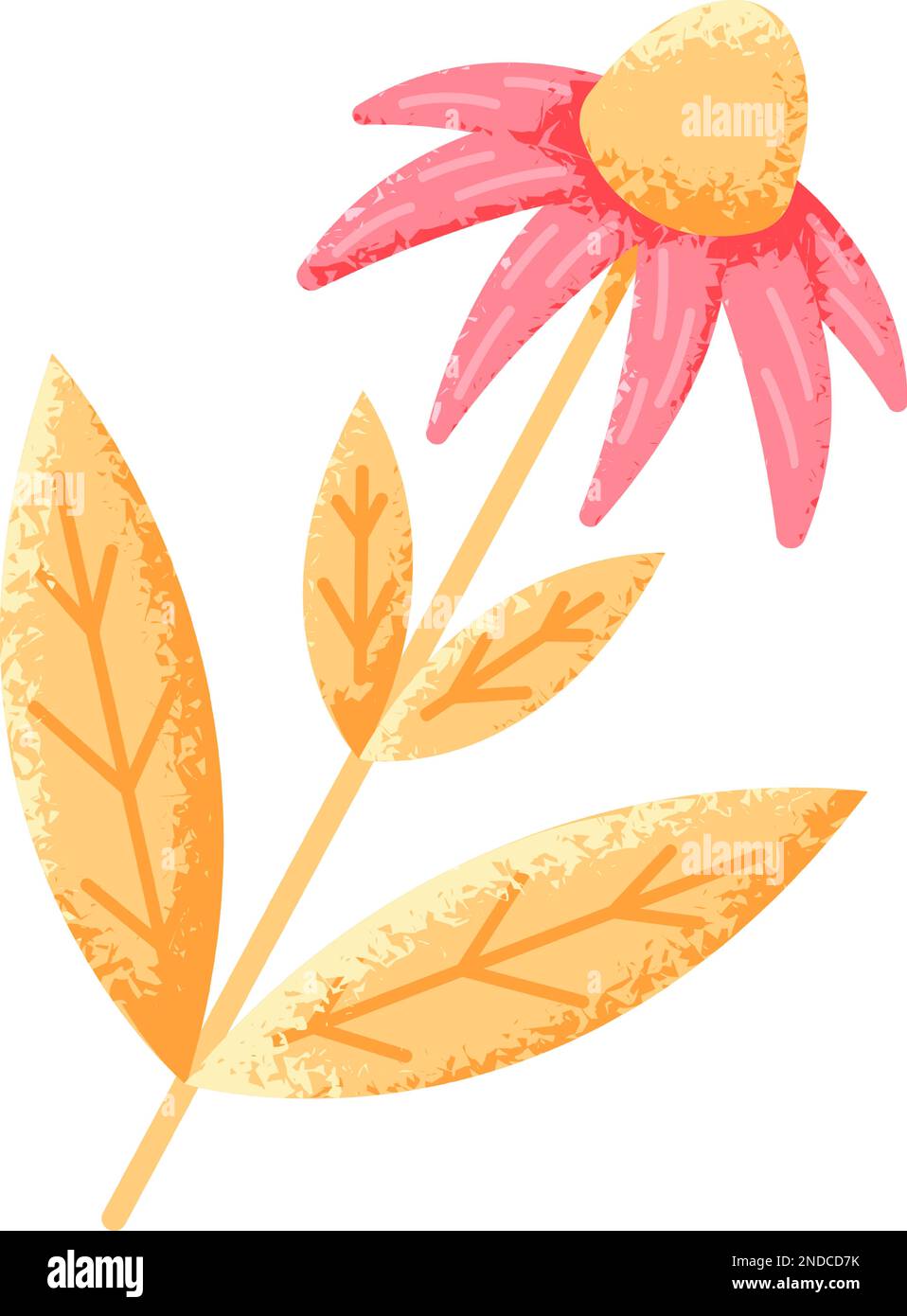 Pink daisy flower drawing. Trendy floral element Stock Vector Image ...