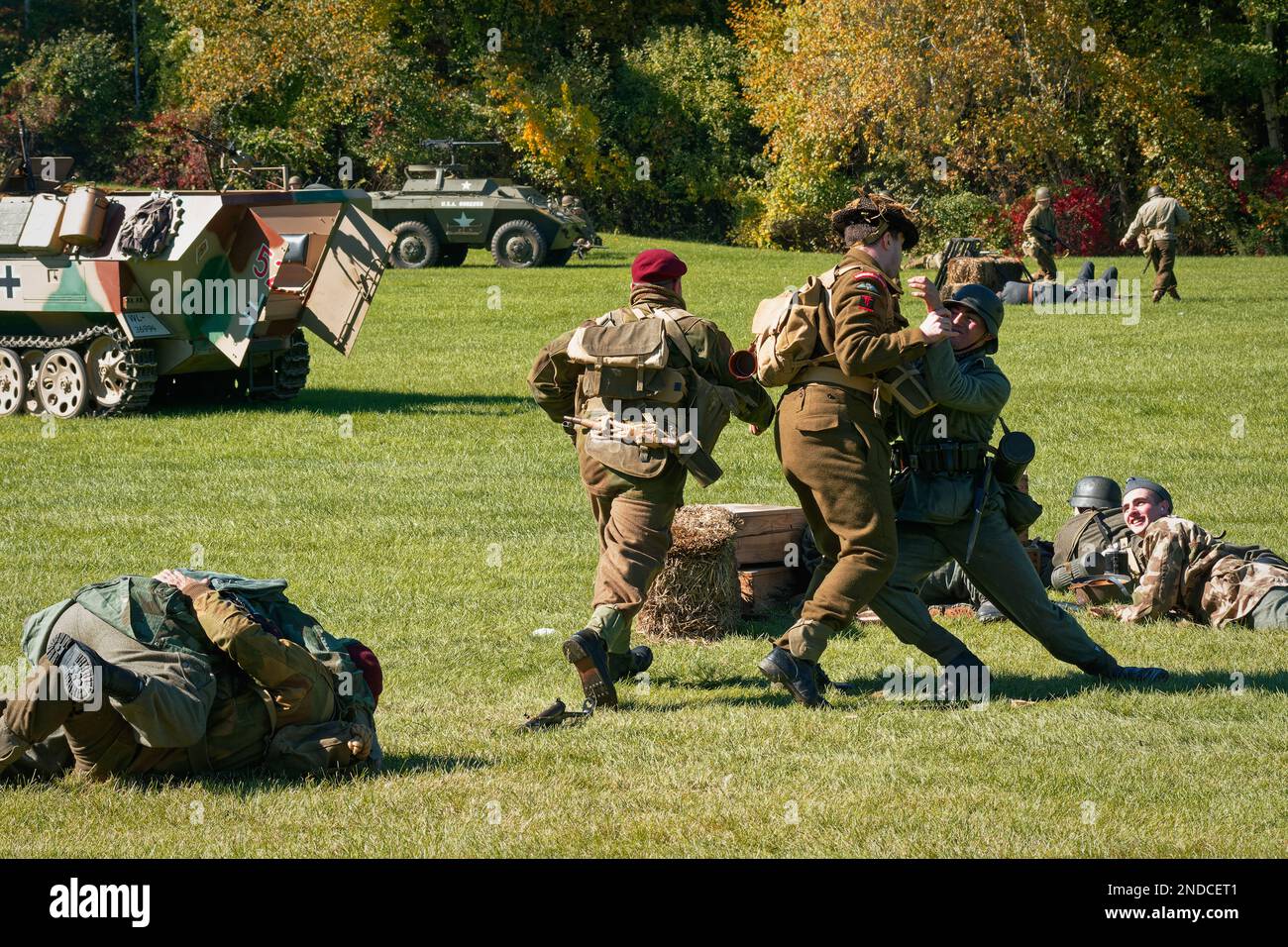 Wwii german infantry forest hi-res stock photography and images - Alamy