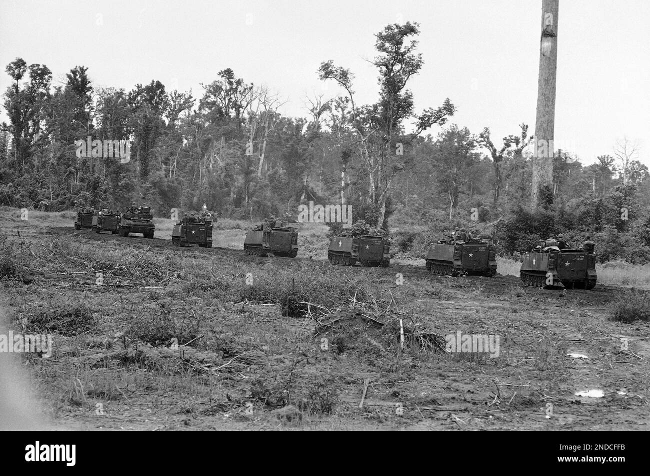 A column of armored personnel carriers of the U.S. 25th Division ...