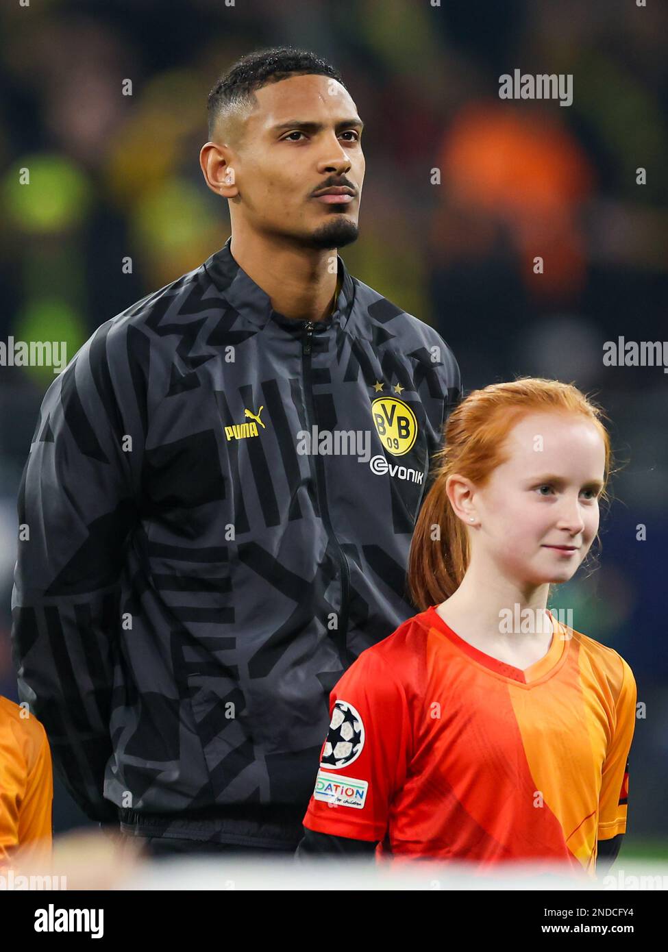 DORTMUND, GERMANY - FEBRUARY 15: Sebastien Haller of Borussia Dortmund ...