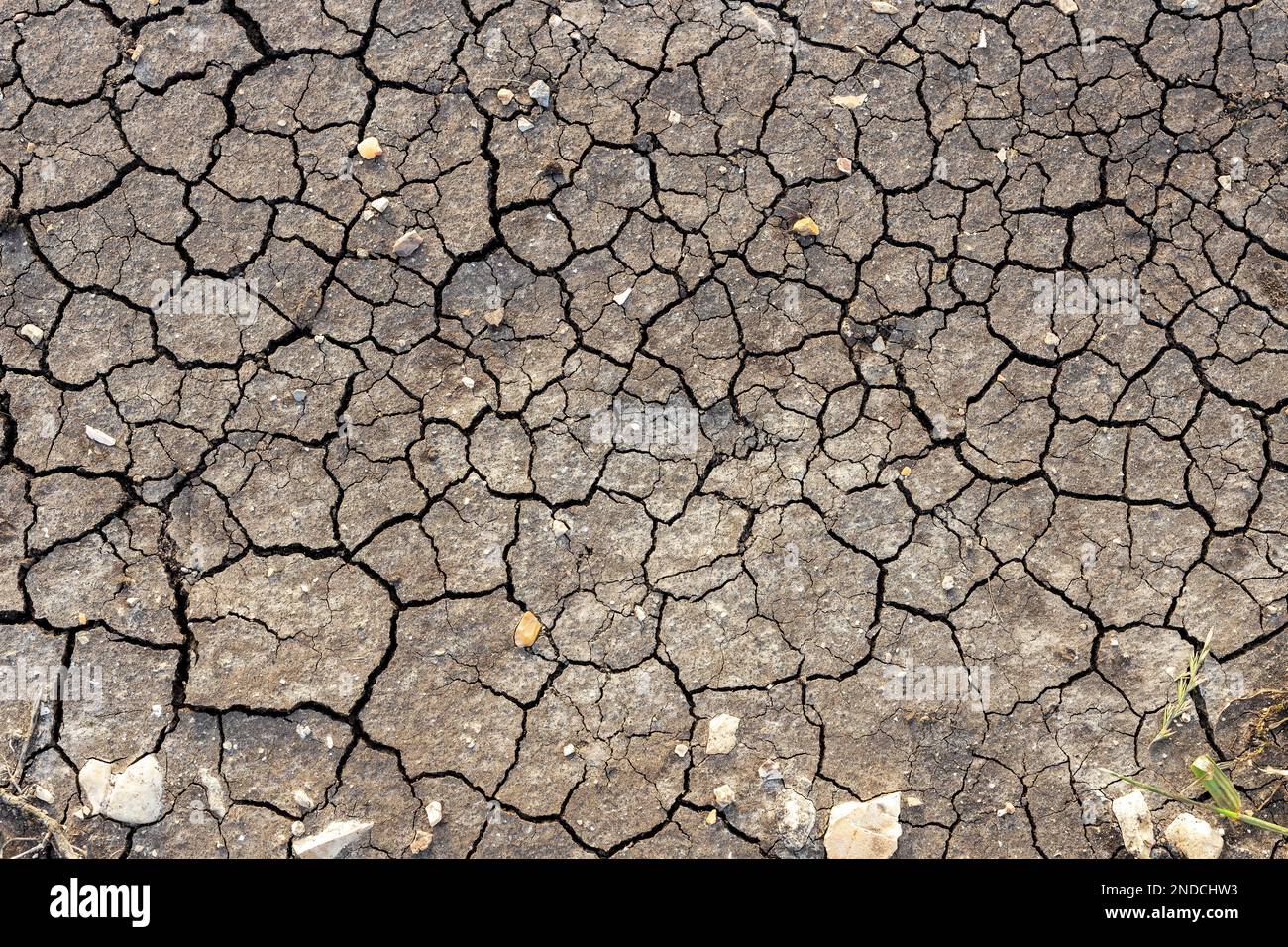 Nature background of cracked dry lands. Natural texture of soil with cracks. Broken clay surface ...