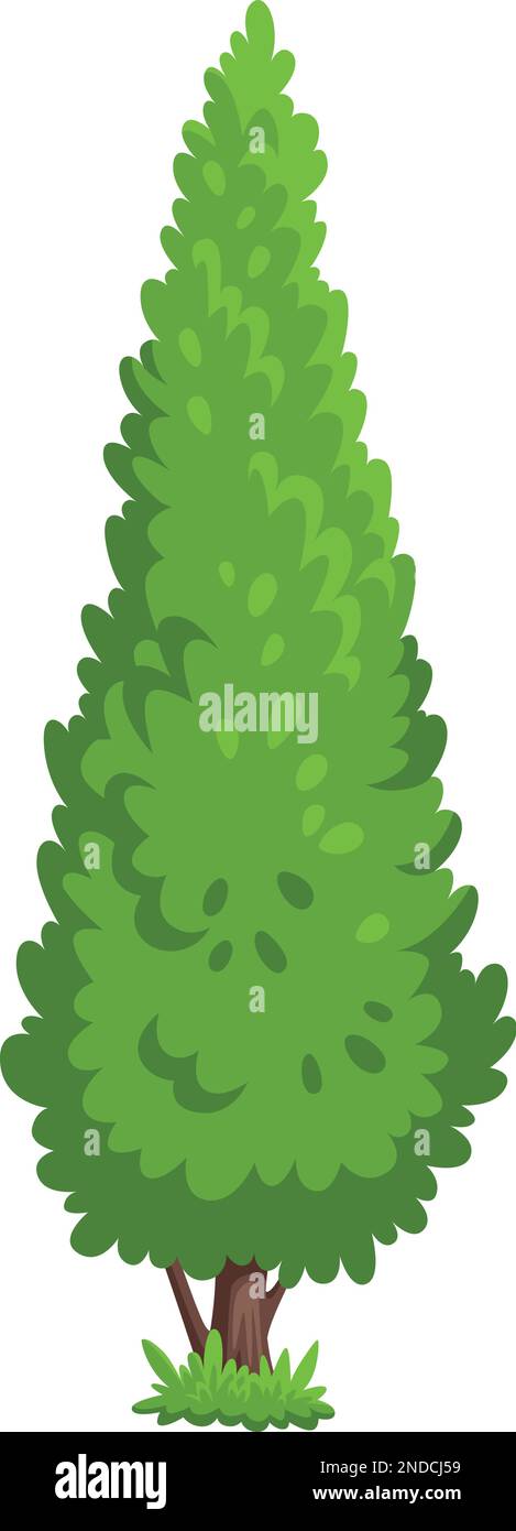 Conifer tree icon. Green cartoon park plant Stock Vector Image & Art ...