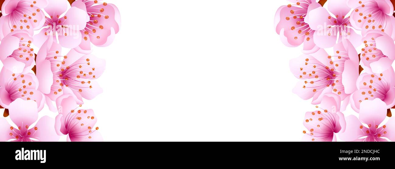 Sakura pink flowers on banner template with blank space Stock Vector ...