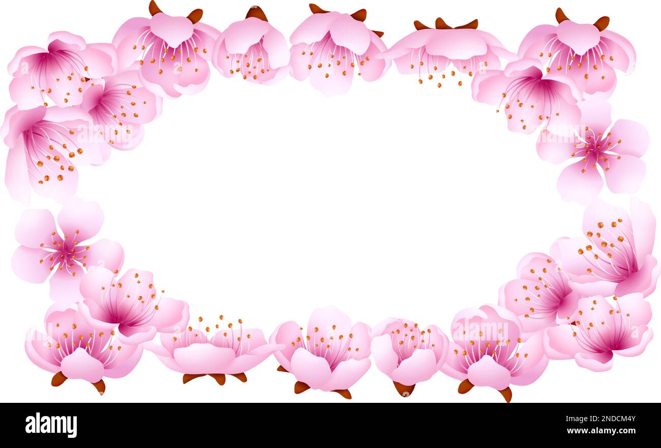 Pink flowers border. Empty japanese sakura frame Stock Vector Image ...