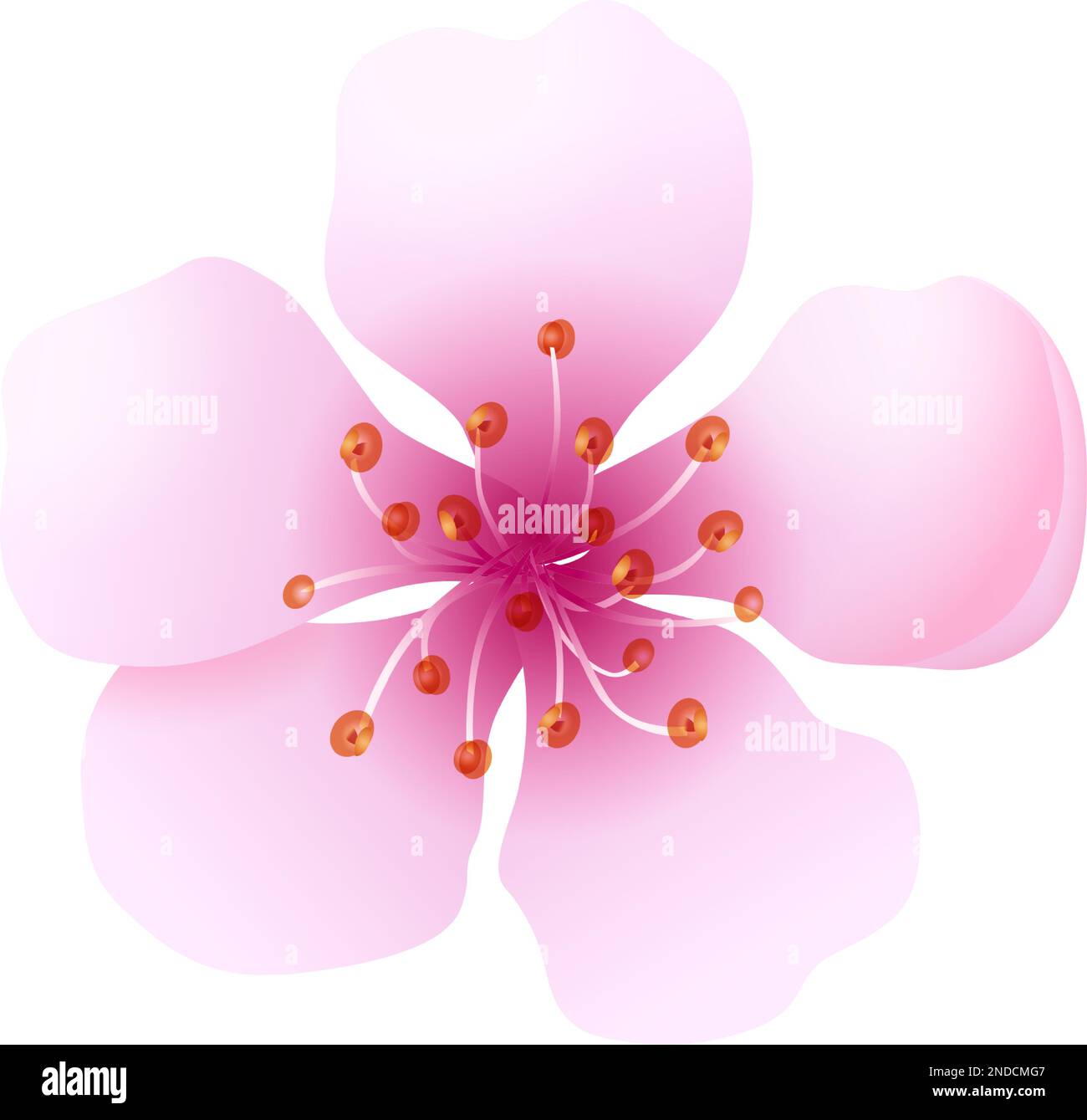 Pink flower. Realistic bloom. Romantic pastel petal Stock Vector Image ...