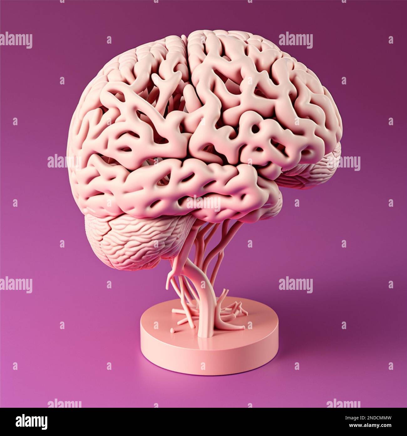 Plastic model of human brain, isolated ps 10 Stock Photo - Alamy